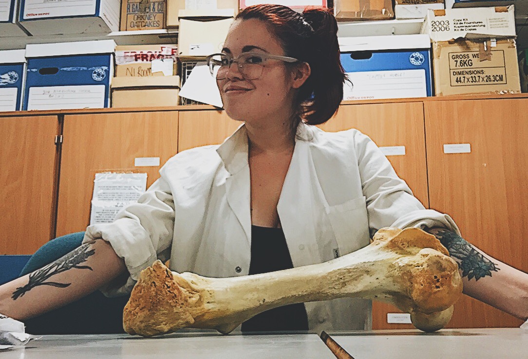 On The Average Day of a Zooarchaeologist, or “So like, what do you even ...