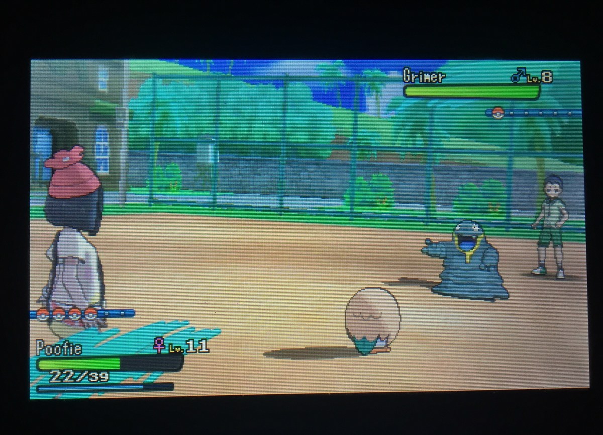 Guardians, Gods, or Geodudes? Pokemon and Battling Animals in ...