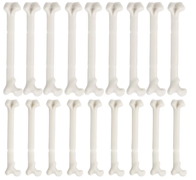 One Bone to Represent Them All: The Enduring Legacy of the Femur Bone ...