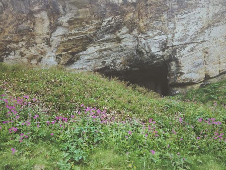 liminal spaces – Animal Archaeology