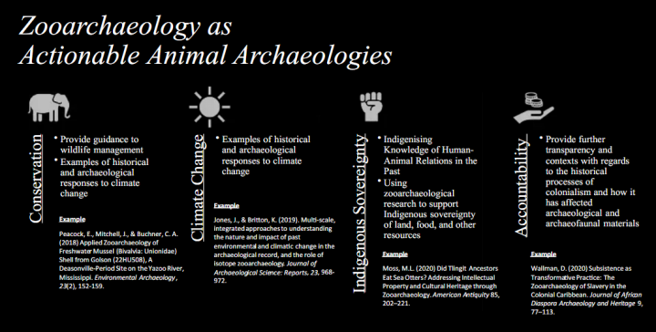 Does Zooarchaeology Matter? A Case for Actionable Animal Archaeologies ...